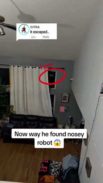 Citra nosey animatronic robot escaped | Jessica Radcliffe (@jessica.radcliffe01)