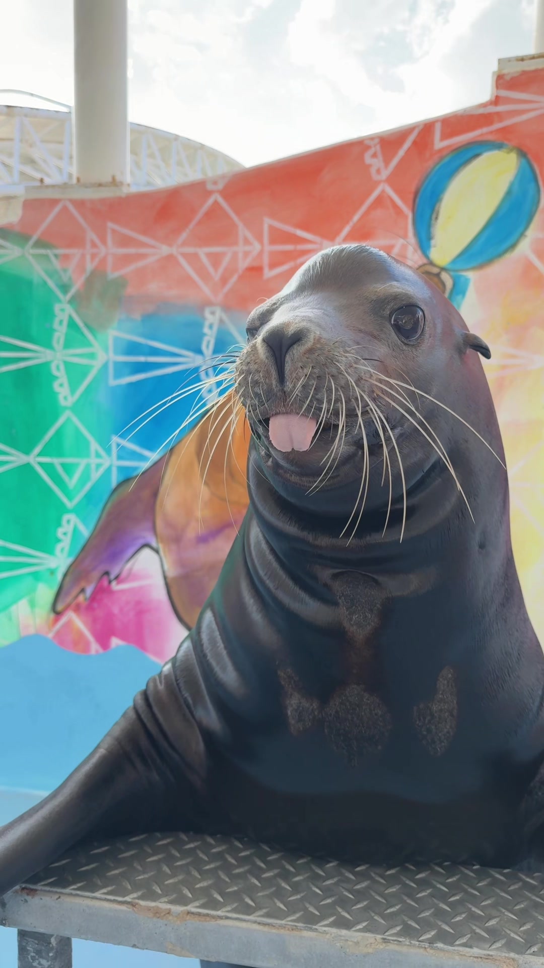 Ranking Top 3 Best KDB Assists | Skibidimemesツ (@habababtana)