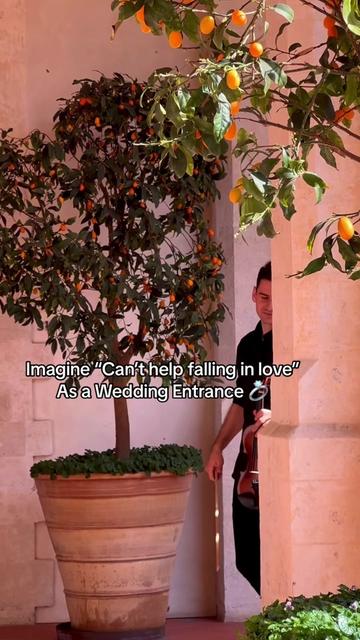 Can’t help falling in love as a Wedding | David Bay (@davidbaymusic)