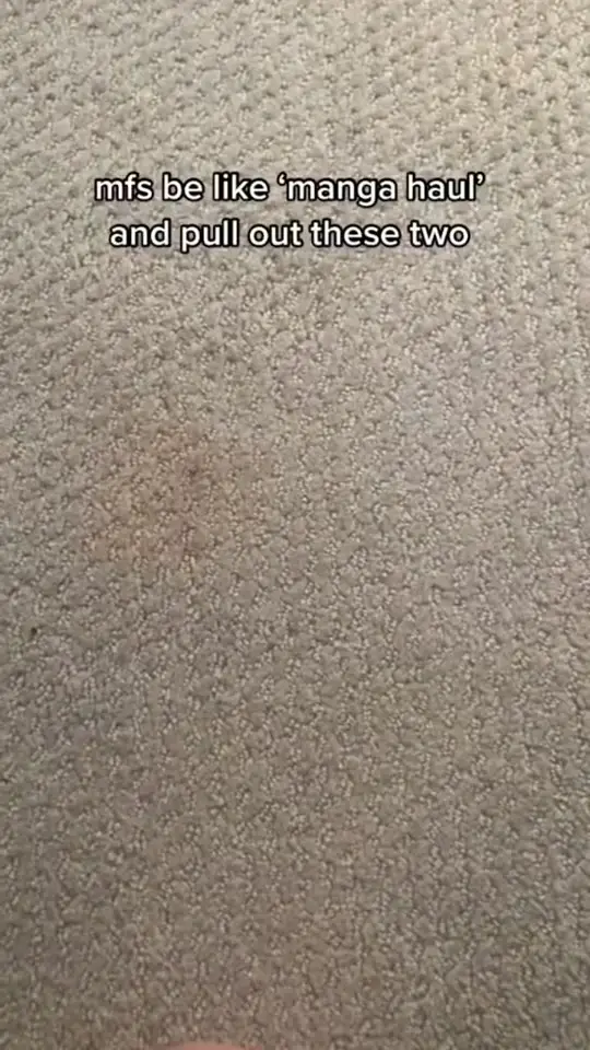 #stitch with @manicpixiedreamemo I own | Jade (@iluvmeww)