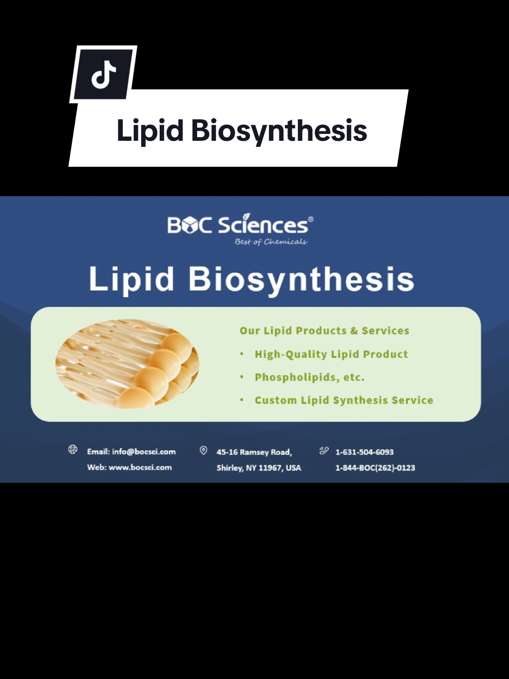 Lipid biosynthesis is the process by | BOC Sciences (@bocsciences)
