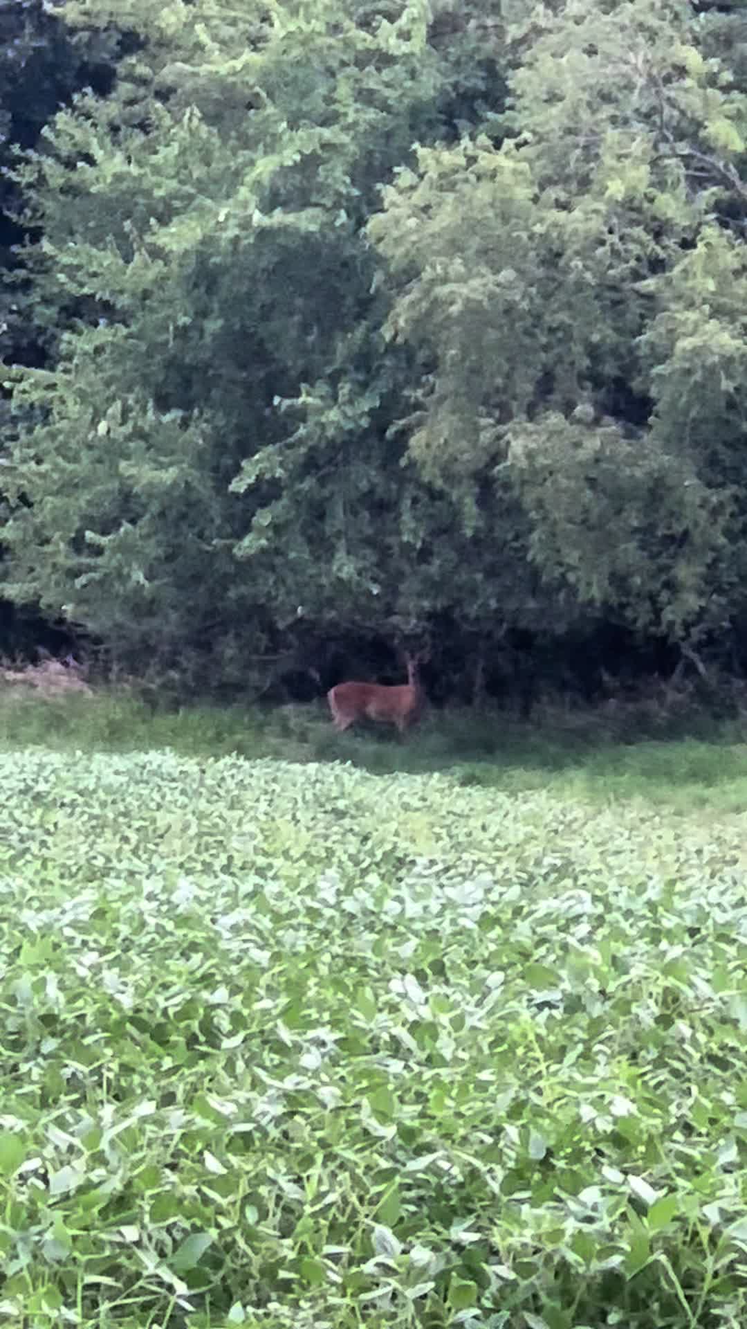 midwestfreakstv (@midwestfreakstv) - Urlebird