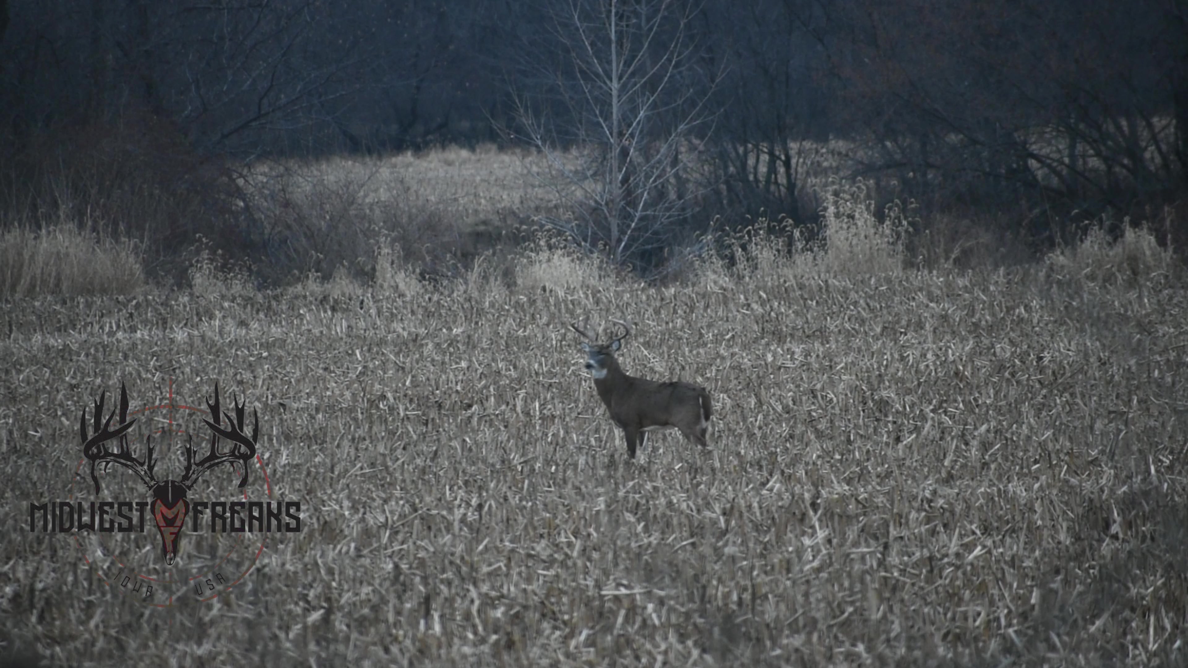 midwestfreakstv (@midwestfreakstv) - Urlebird