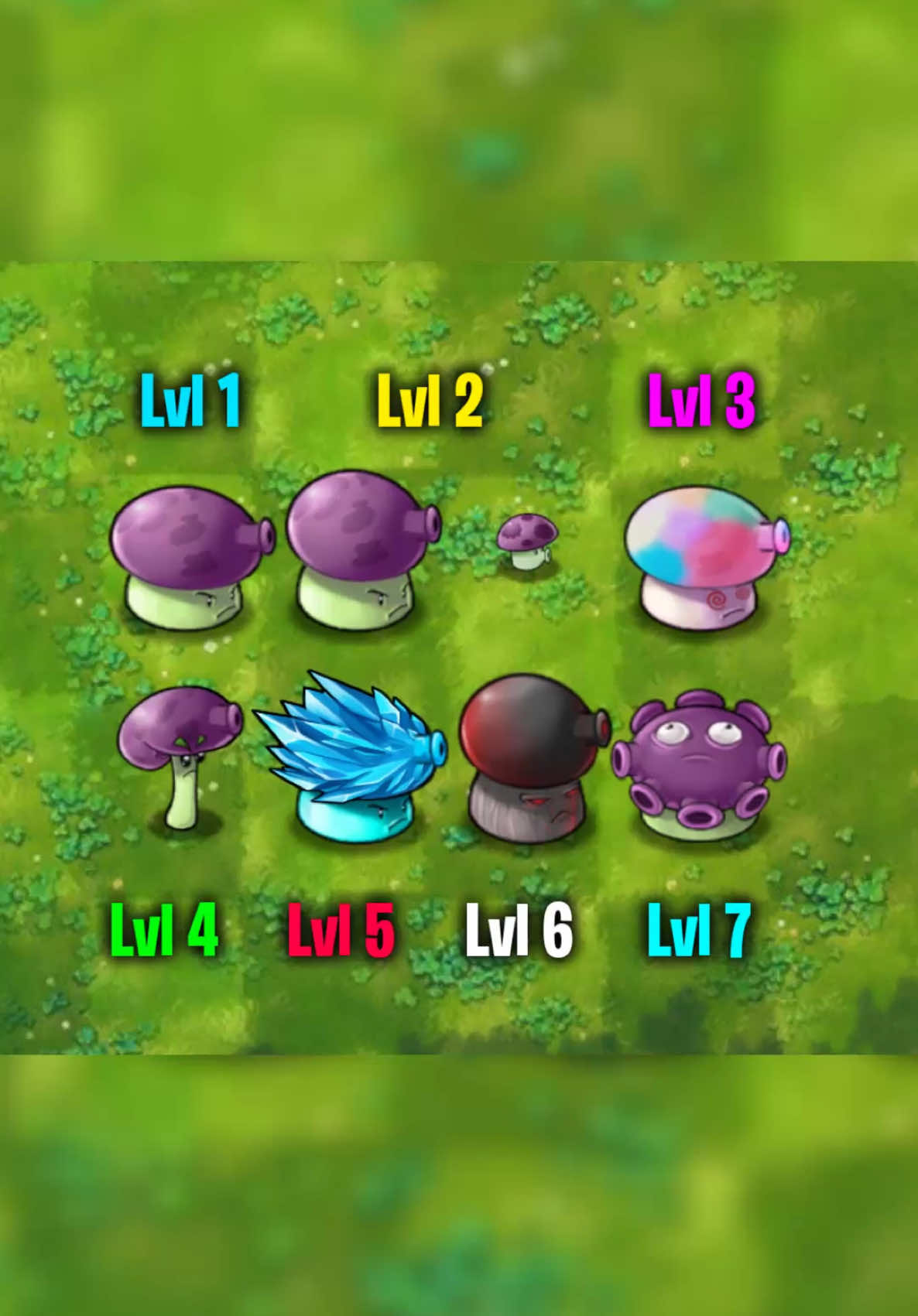 Squanch CommunitY (@squanchcommunity) - Urlebird