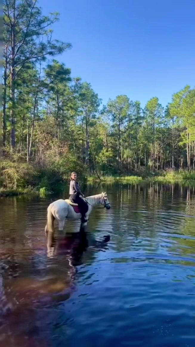 Katie Rain (@k8tiecake) - Urlebird