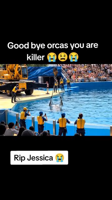 The dolphin took Jessica’s life… now | Jessica Rip (@jessica_rip)