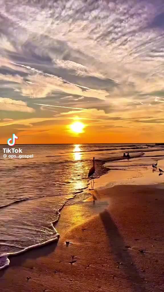 Priscila Fátima (@priscilafatima599) - Urlebird