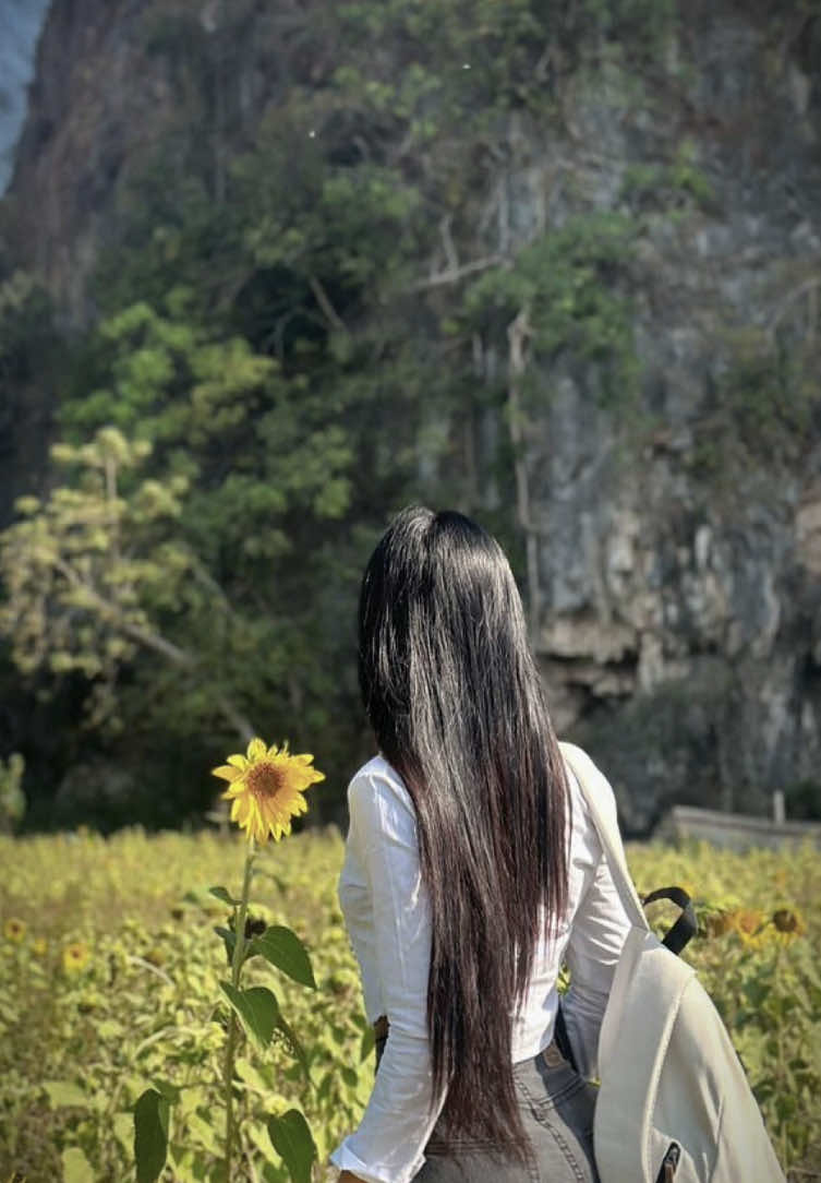🌻 #fypシ #song #CapCut | zuezue__rey (@zuezue__rey)