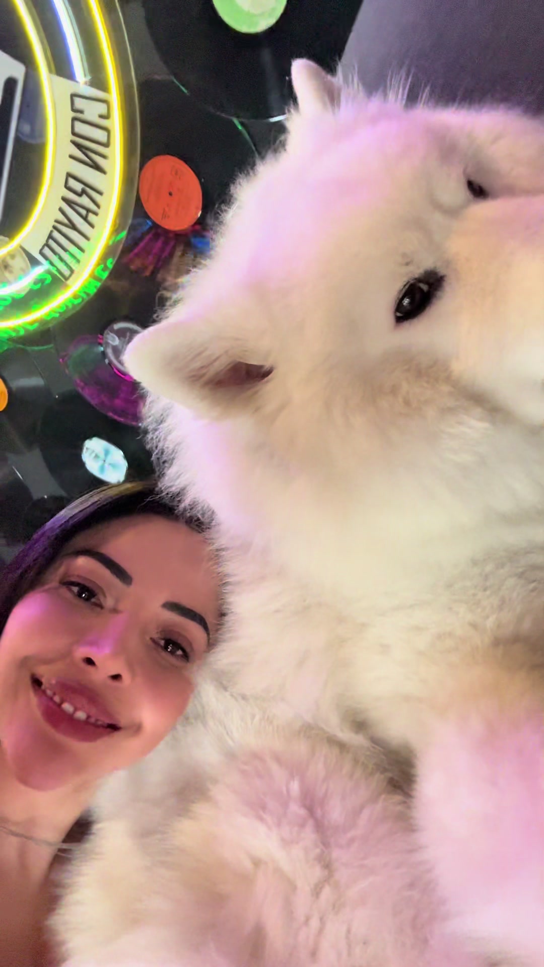 #IntheNightGarden #Haahoos #Vaahoos | The Haahoos (@theofficialhaahoogang)