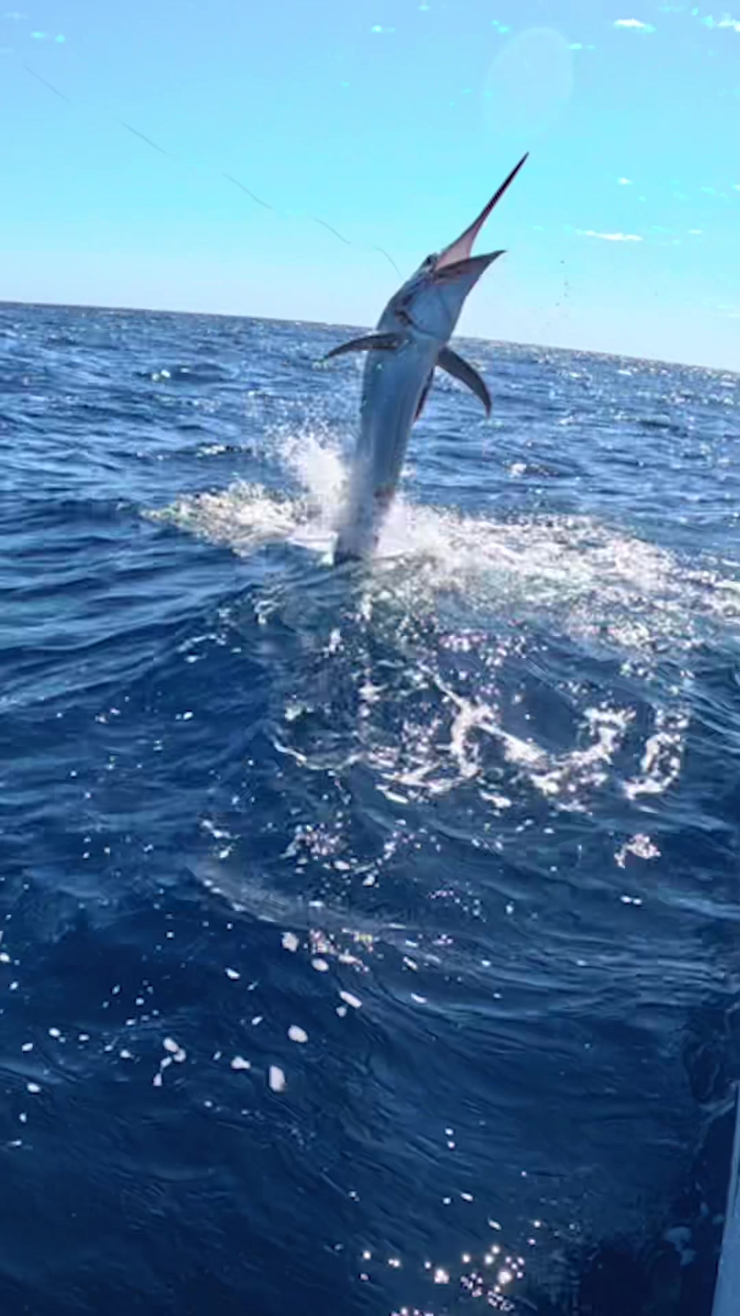 Strick & Fran (@strick.and.fran) - Urlebird