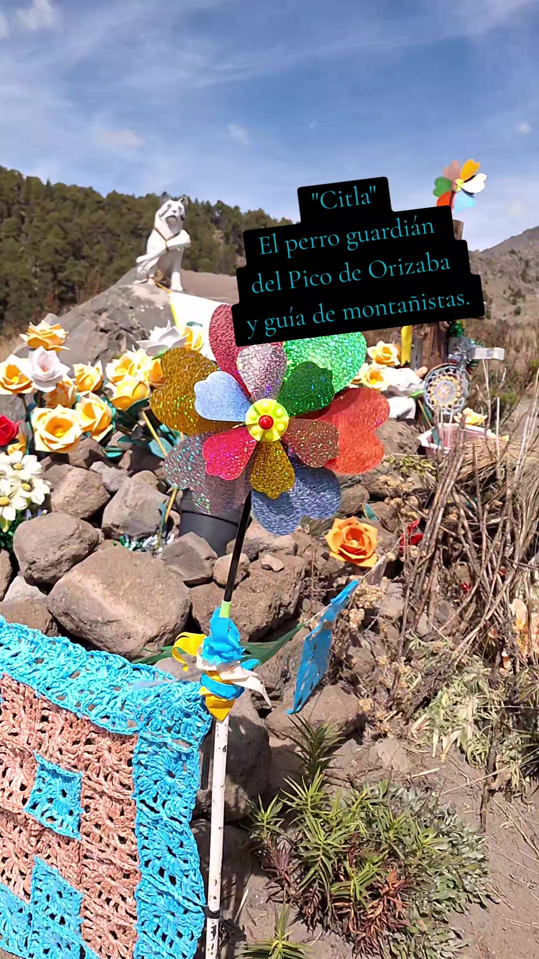 Estatua del Citla, el famoso perro guía | 🌒Nemuad'Dib🌖 (@nemuaddib)