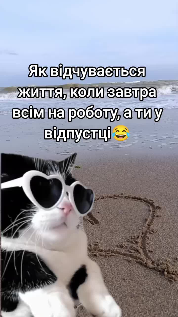 asya_little (@asya_little) - Urlebird