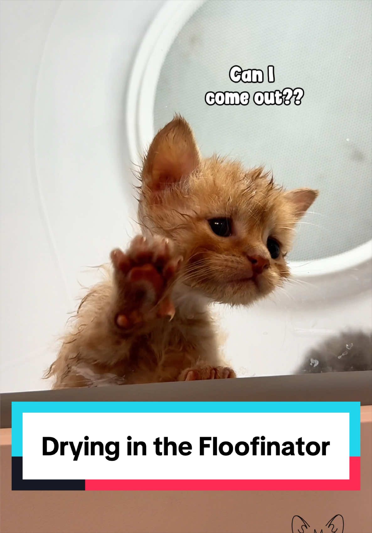 Did you miss Yumi ? 😀😊🤗#timtin | Tim Tin (@timtinfamily)