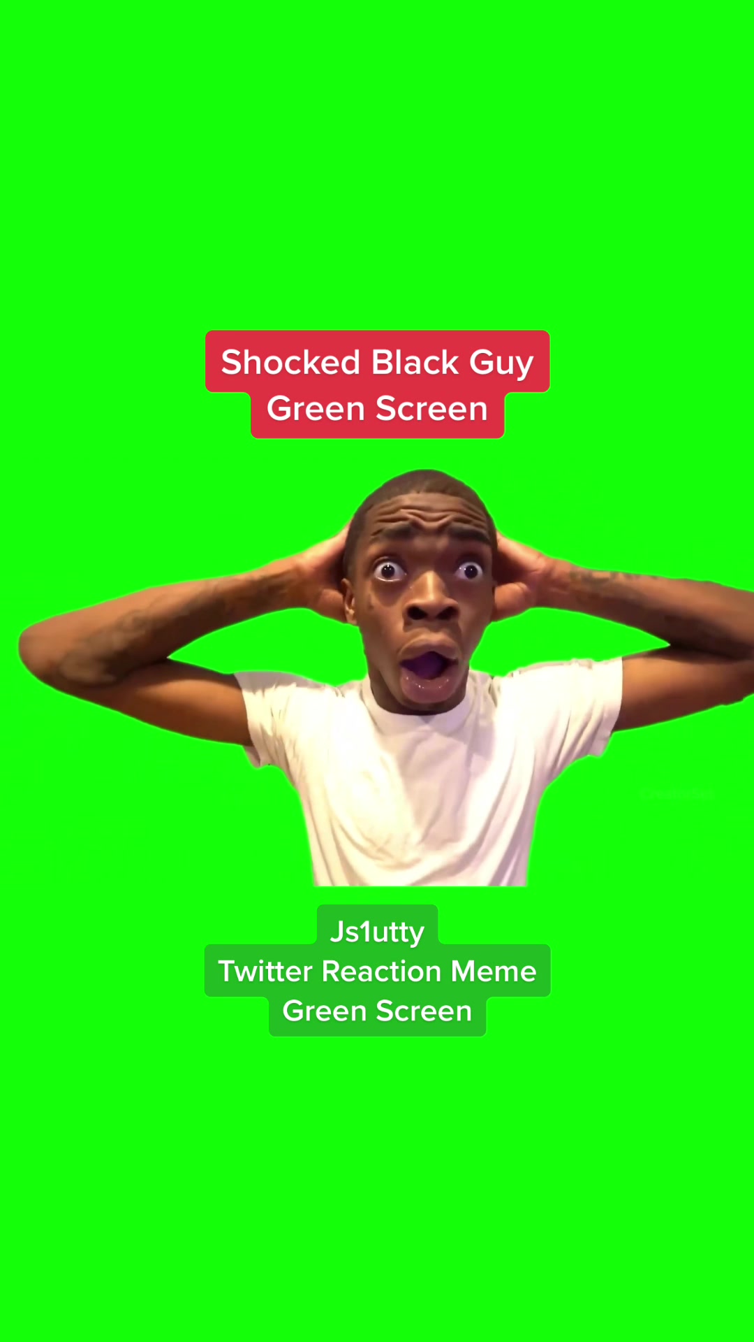 Shocked Black Guy Green Screen - | CreatorSet.com Green Screens ...