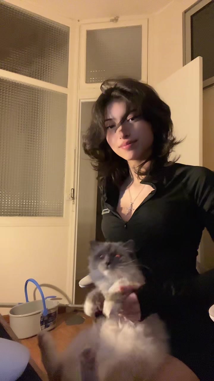 groovy #fyp #fypシ #cat | nymメ (@sanymaa)