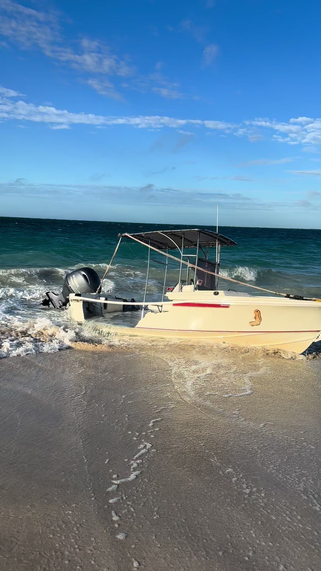 Strick & Fran (@strick.and.fran) - Urlebird