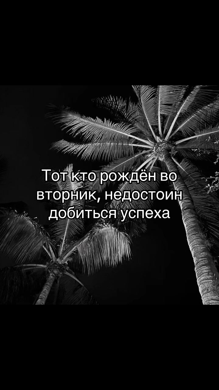 2025 is my first year in my 30s 👏🏻. But | Bella Gallops ...