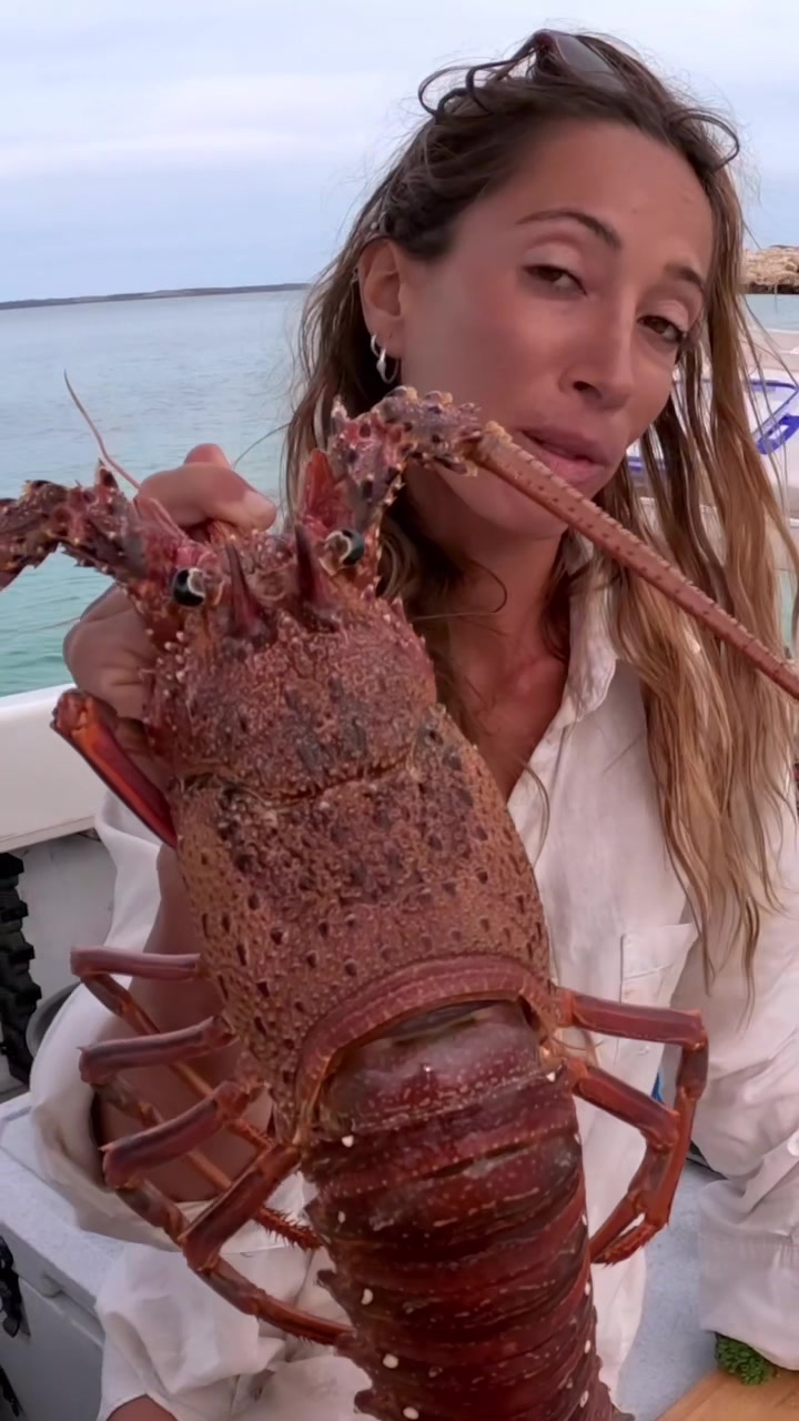 Strick & Fran (@strick.and.fran) - Urlebird