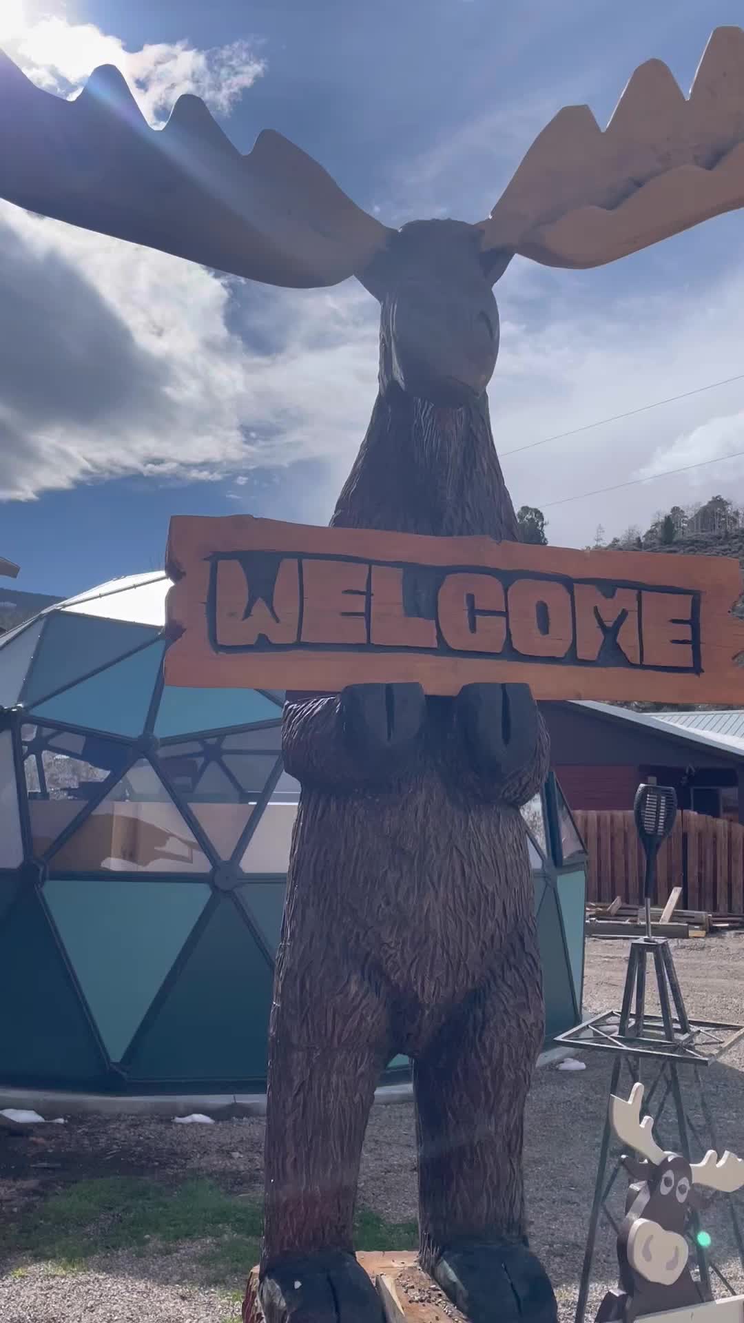 Stumbling Moose Bar and Grill (@stumblingmooselodge) - Urlebird