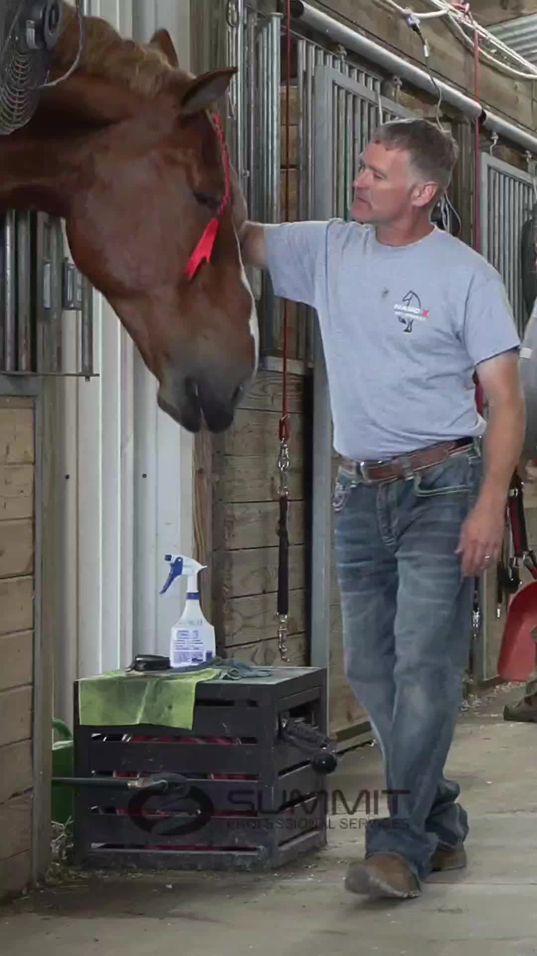 🦄 @summitproservice - Summit Professional Services - TikTok