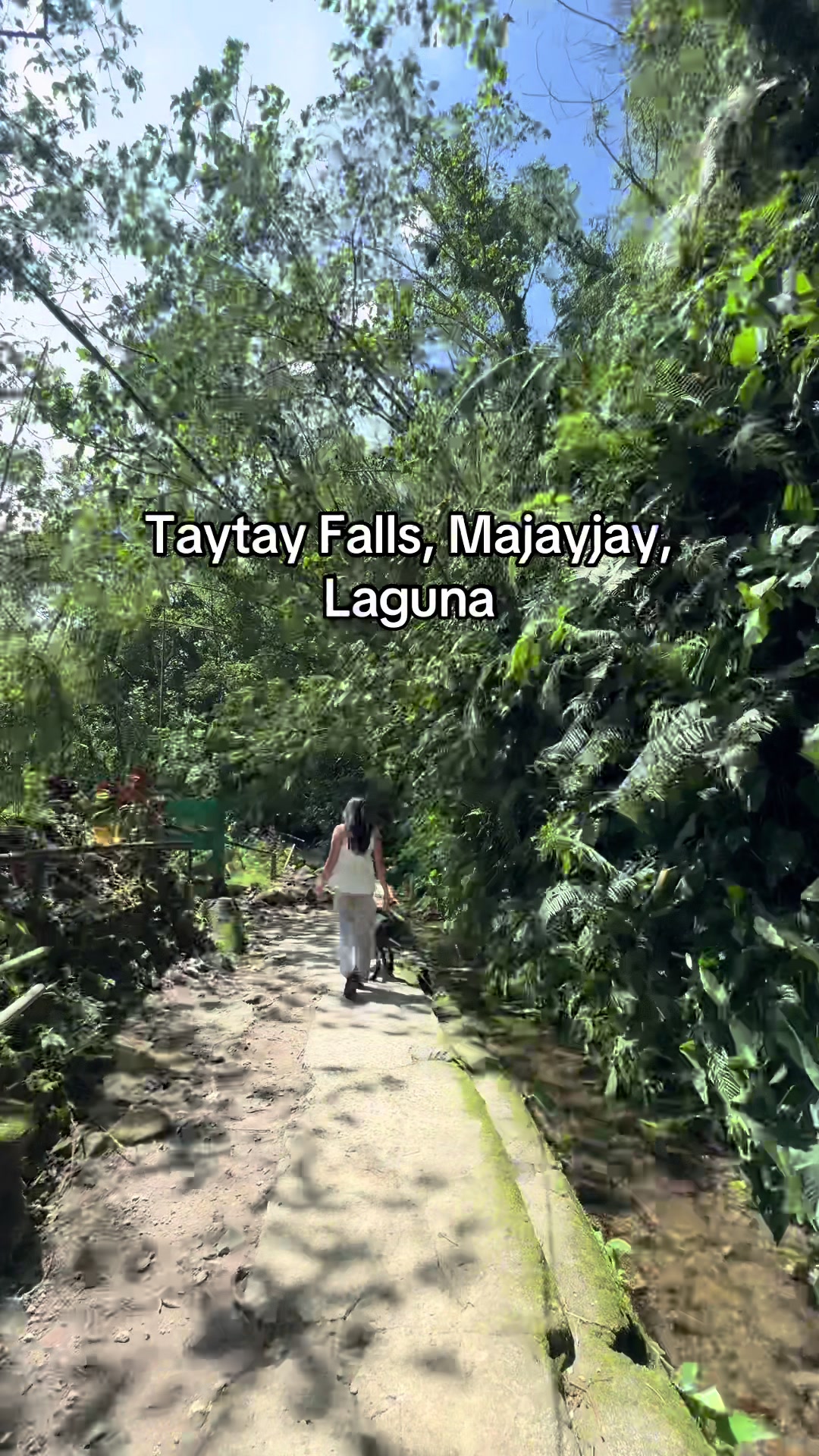 nicolelabarette (@nicole_labarette) - Urlebird