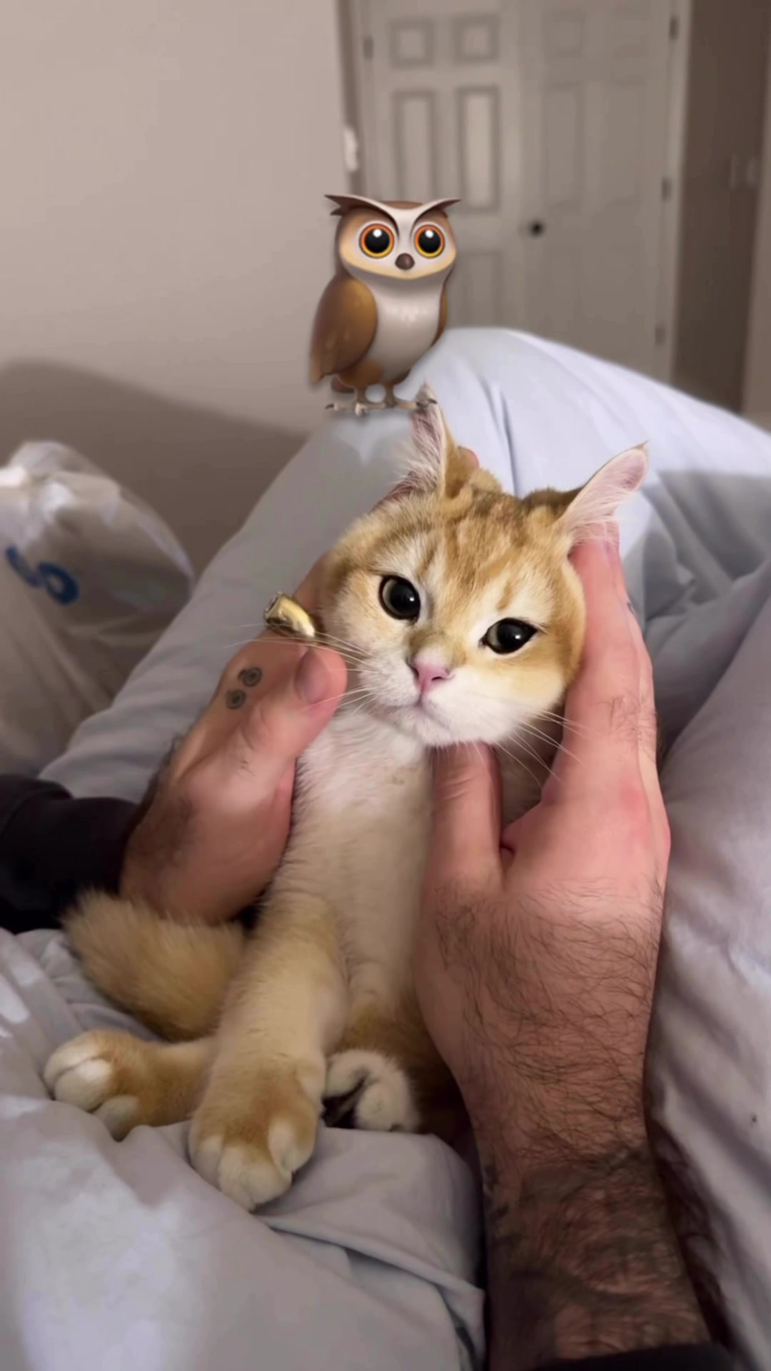 AnnaG (@imthe_annag) - Urlebird