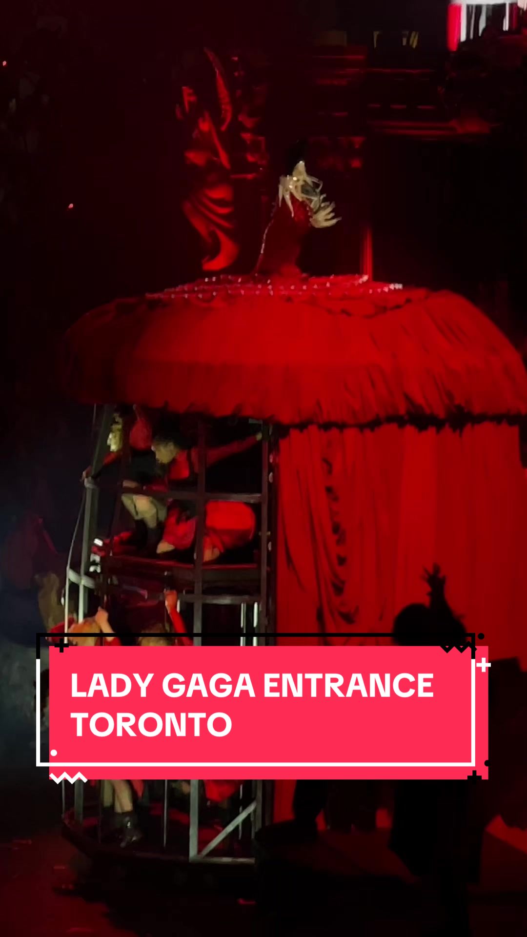 Vanlife mit Bestbuddy #chihuahua | Linda Lanu (@linda.lanu)