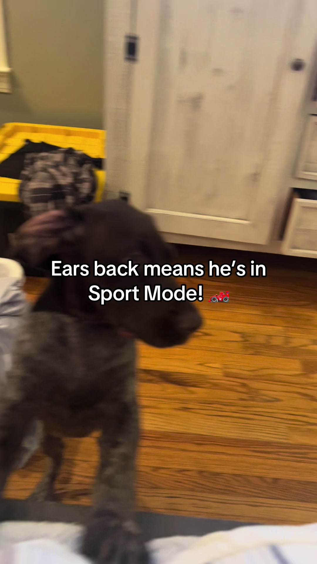 ShyraqAI платформамына доступ алғыңыз | Shyraq.academy (@shyraq.academyy)