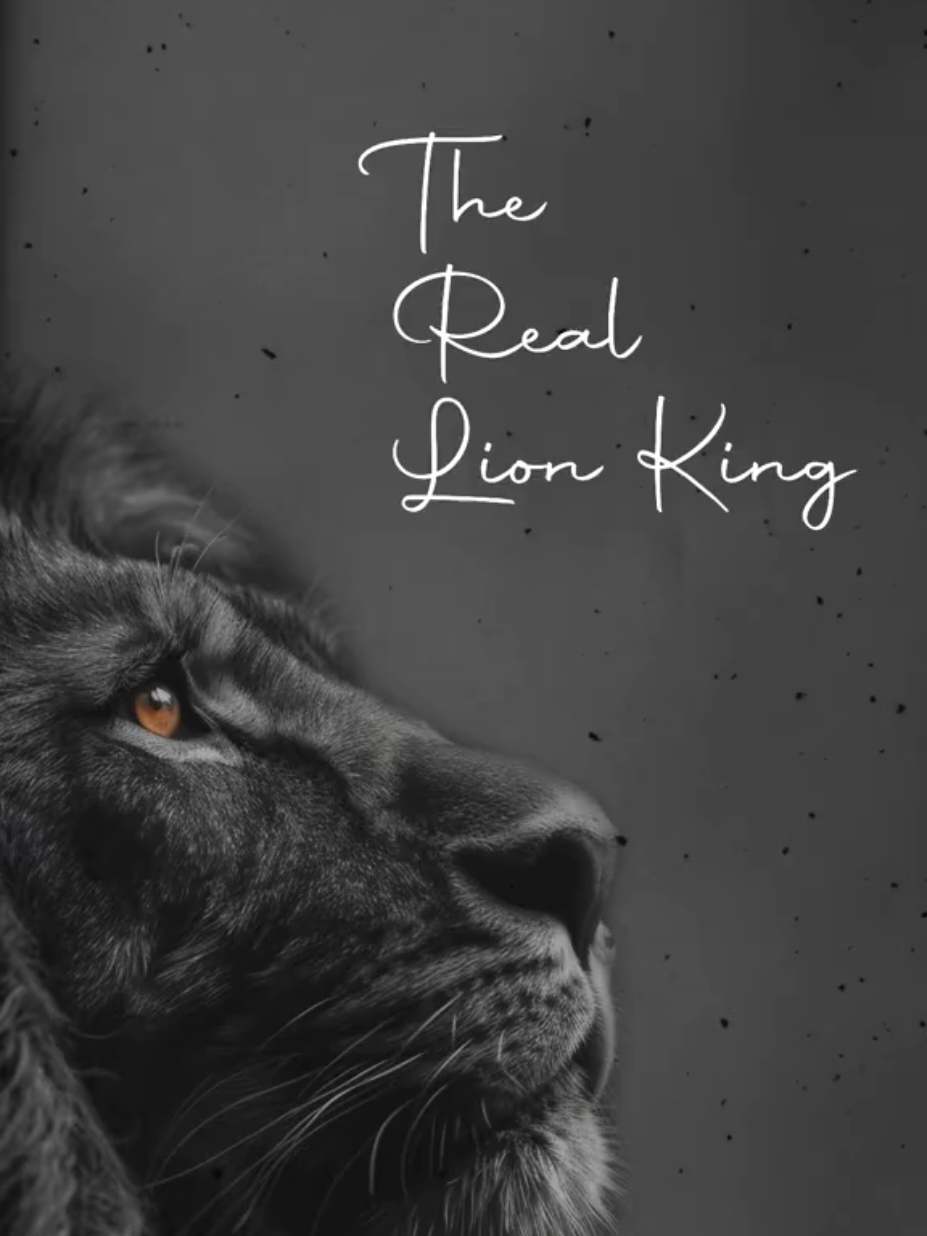 The real lion king Scarface | 𝐀𝐫𝐭 𝐨𝐟 𝐬𝐭𝐨𝐢𝐜𝐢𝐬𝐦™ (@art.of.stoicism.official)