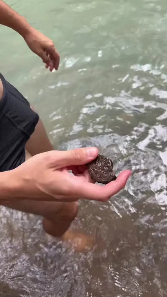 ika_dauria (@ika_dauria) - Urlebird