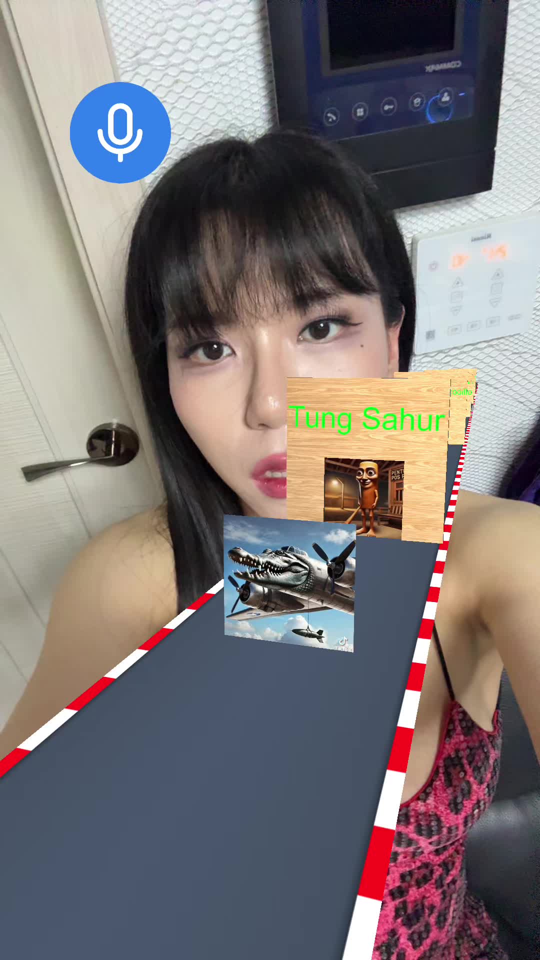 트트트트트트트젠 사후르 #트랜스젠더 #퉁퉁퉁 | JongJa 종자🧚‍♀️ (@its_jongja)