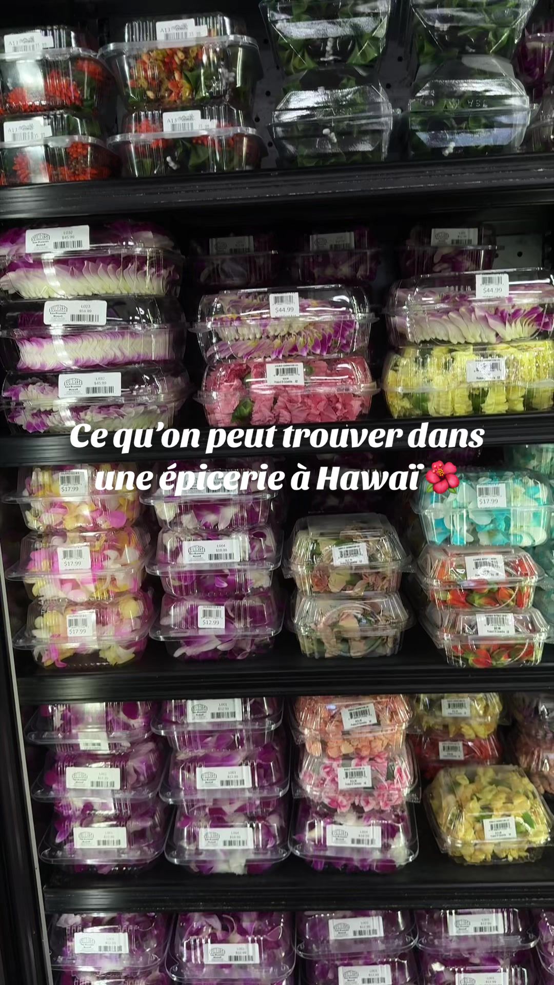 Cat Singing LULU LALALA Green Screen | CreatorSet.com AI Tools ...