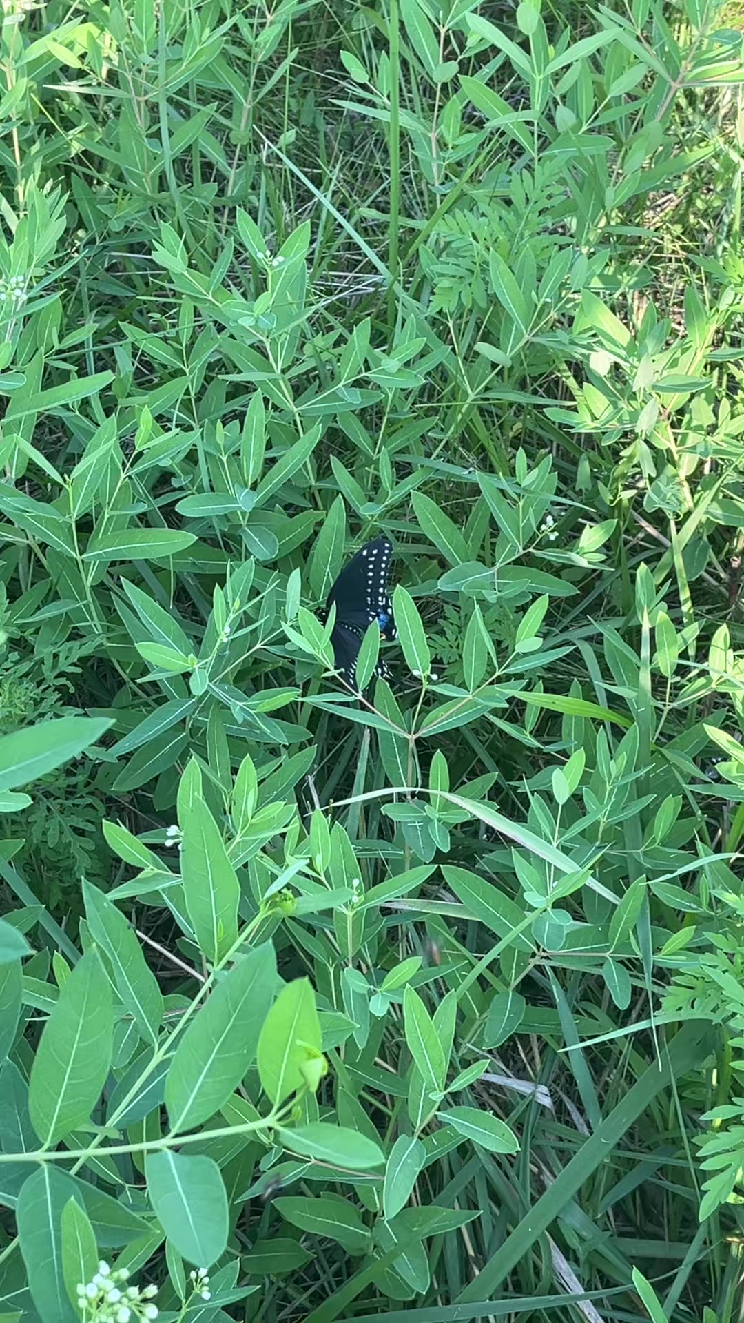 unoangryone (@unoangryone) - Urlebird