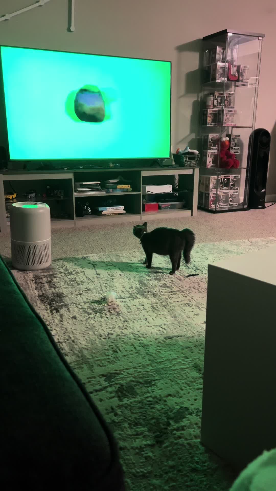 Cat brainrot . Seen another tiktok and | cloudtiny (@cloudtinyart)