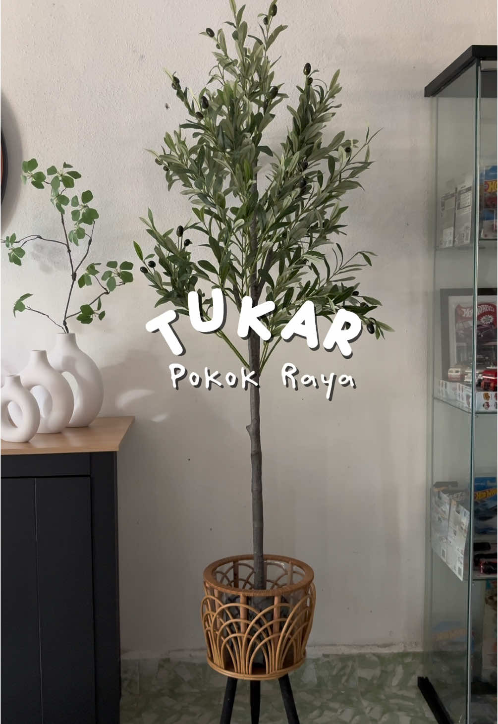 Dah lama berkenan pokok olive ni | HomesdecorAdam (@homesdecoadam)
