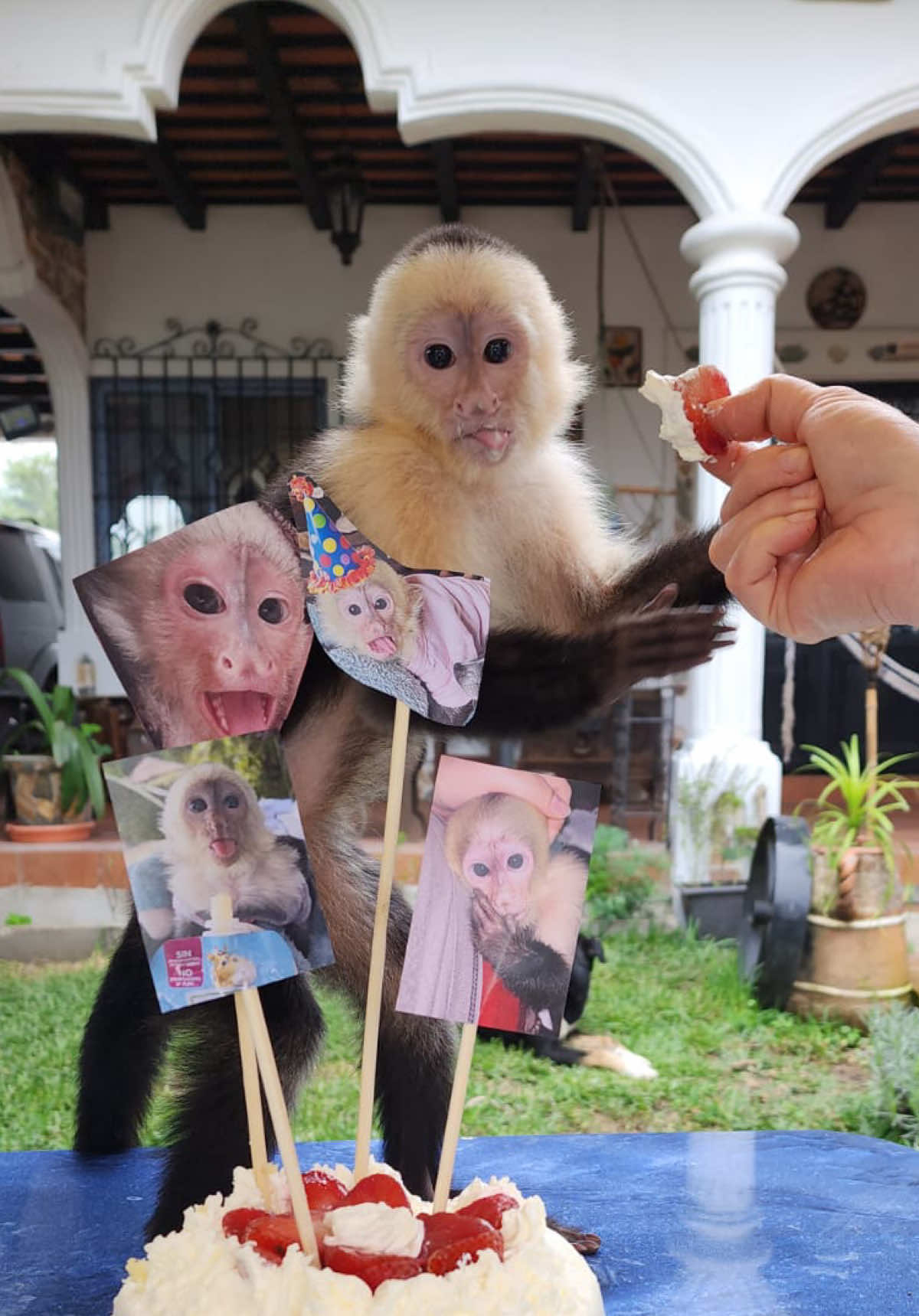 Baby.Suni (@baby.suniii) - Urlebird