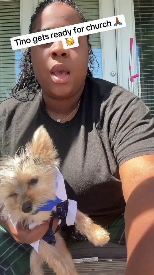 Yorkie gets ready for church | Tino and Ro (@rosezhae)