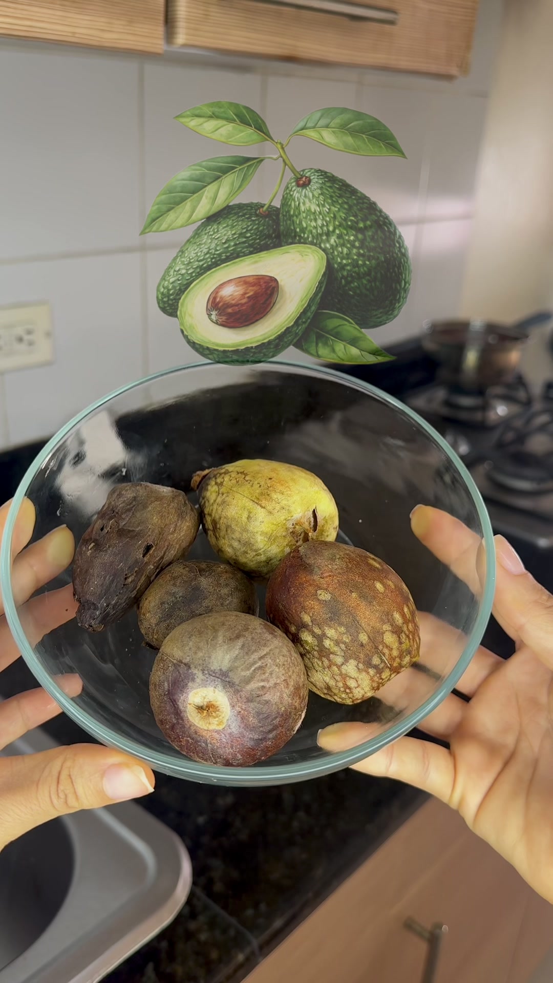 No botes la pepa de 🥑 Haz esta | Maria Jose Madrid Uribe (@majomadrid ...