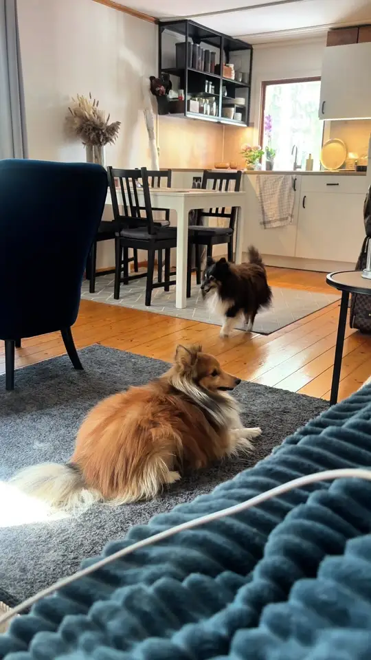 Denice Andree (@deniceandree) - Urlebird