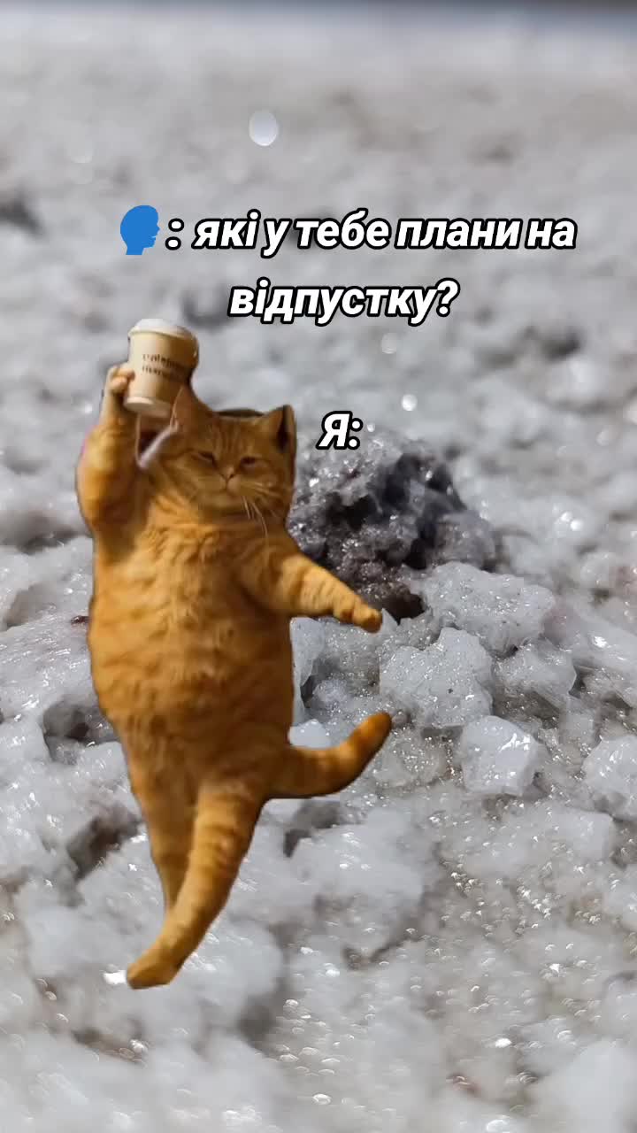 asya_little (@asya_little) - Urlebird