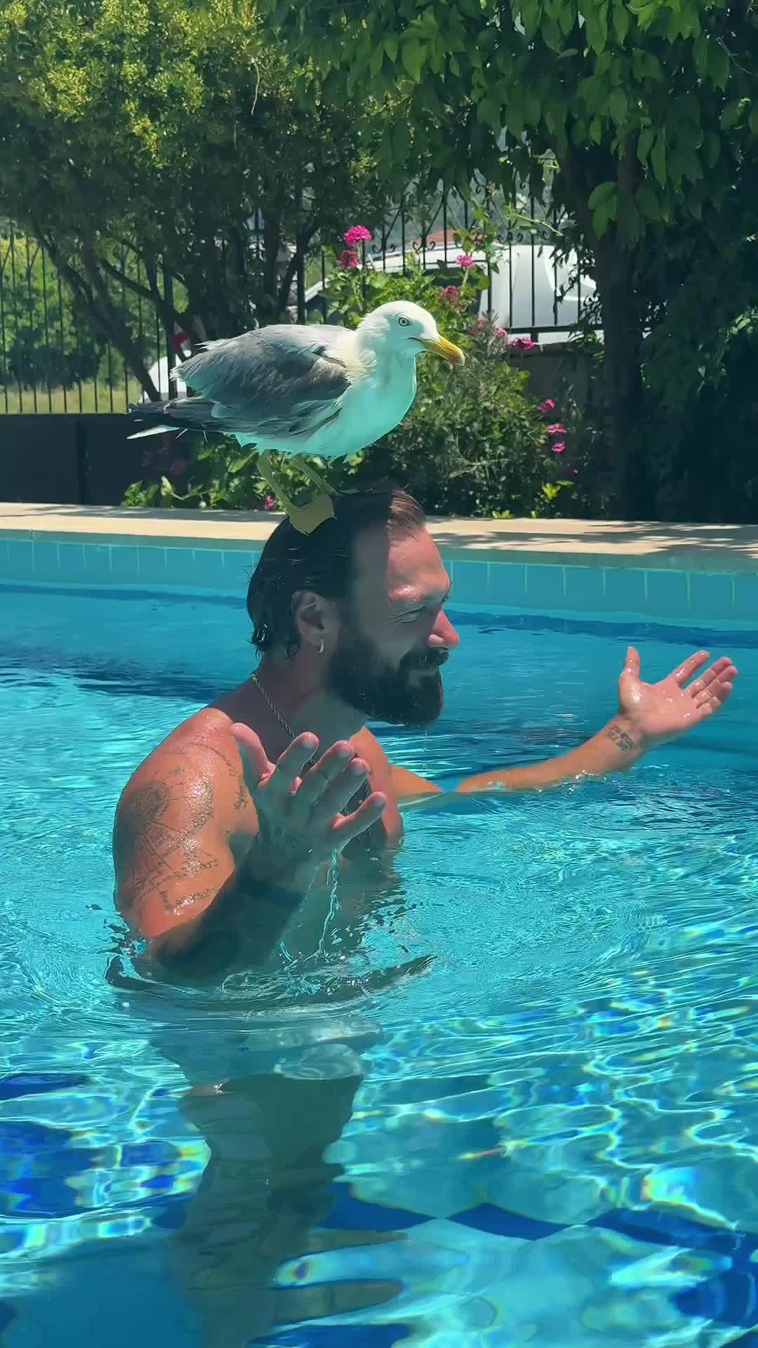 Quentin Emery (@quentin.emery) - Urlebird