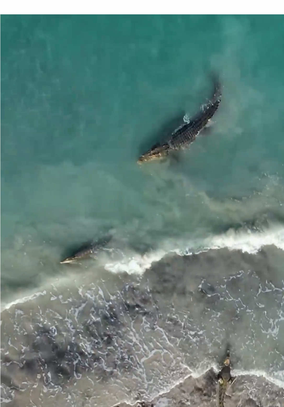 Strick & Fran (@strick.and.fran) - Urlebird