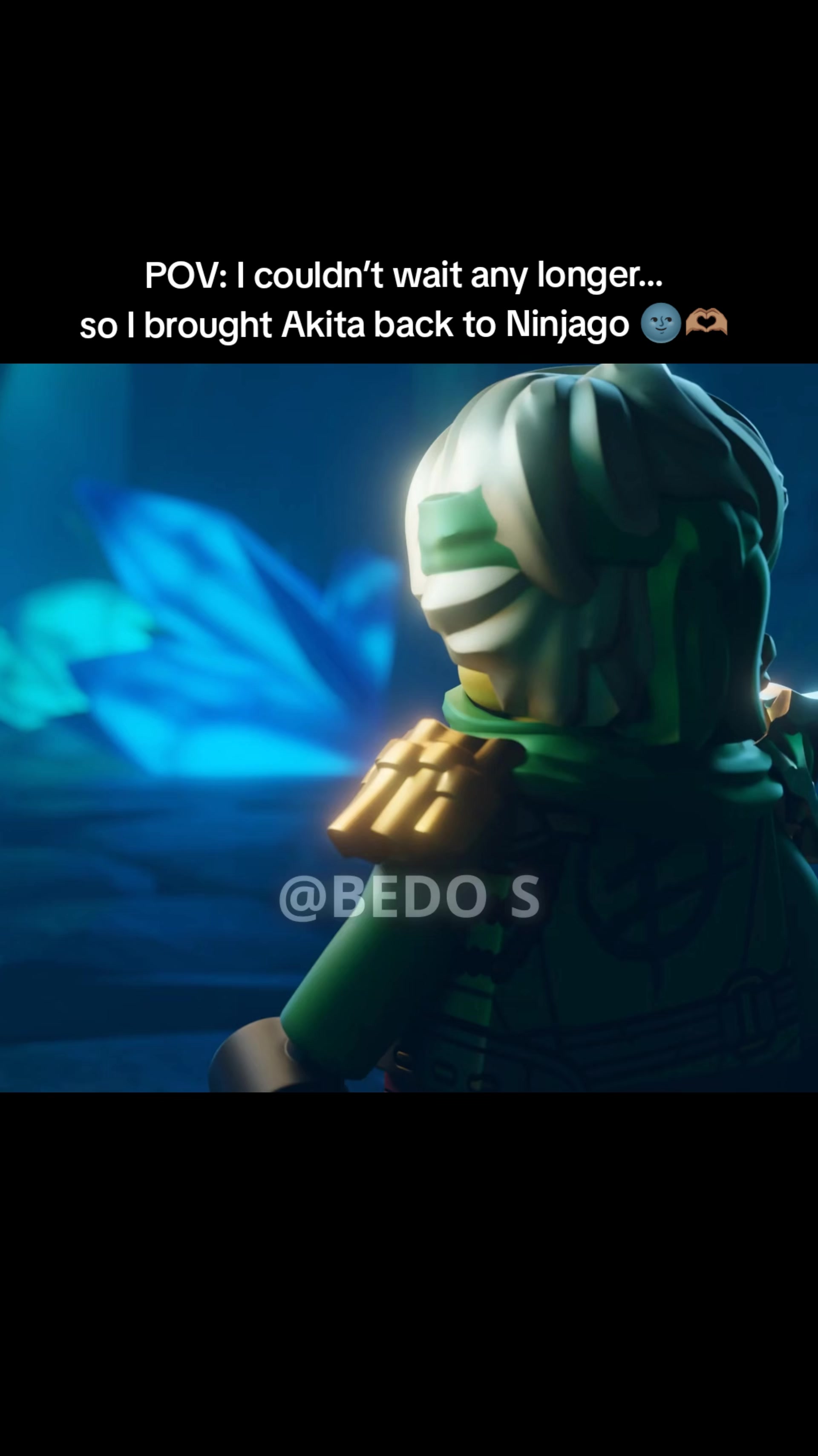 She’s finally back… Akita returns to | BEDO S (@1bedos1)