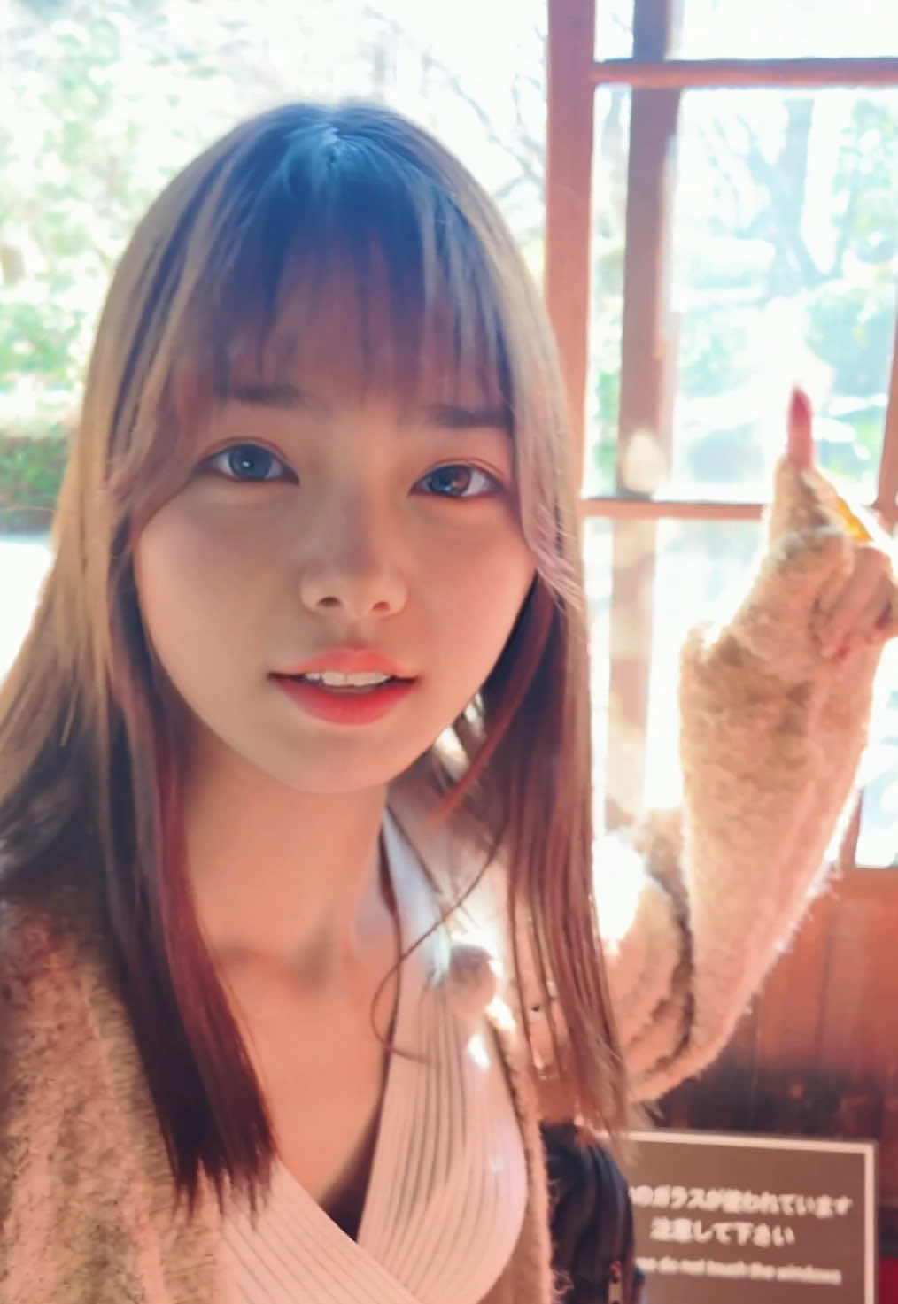 にどね（Nidone） (@nidonenko) - Urlebird