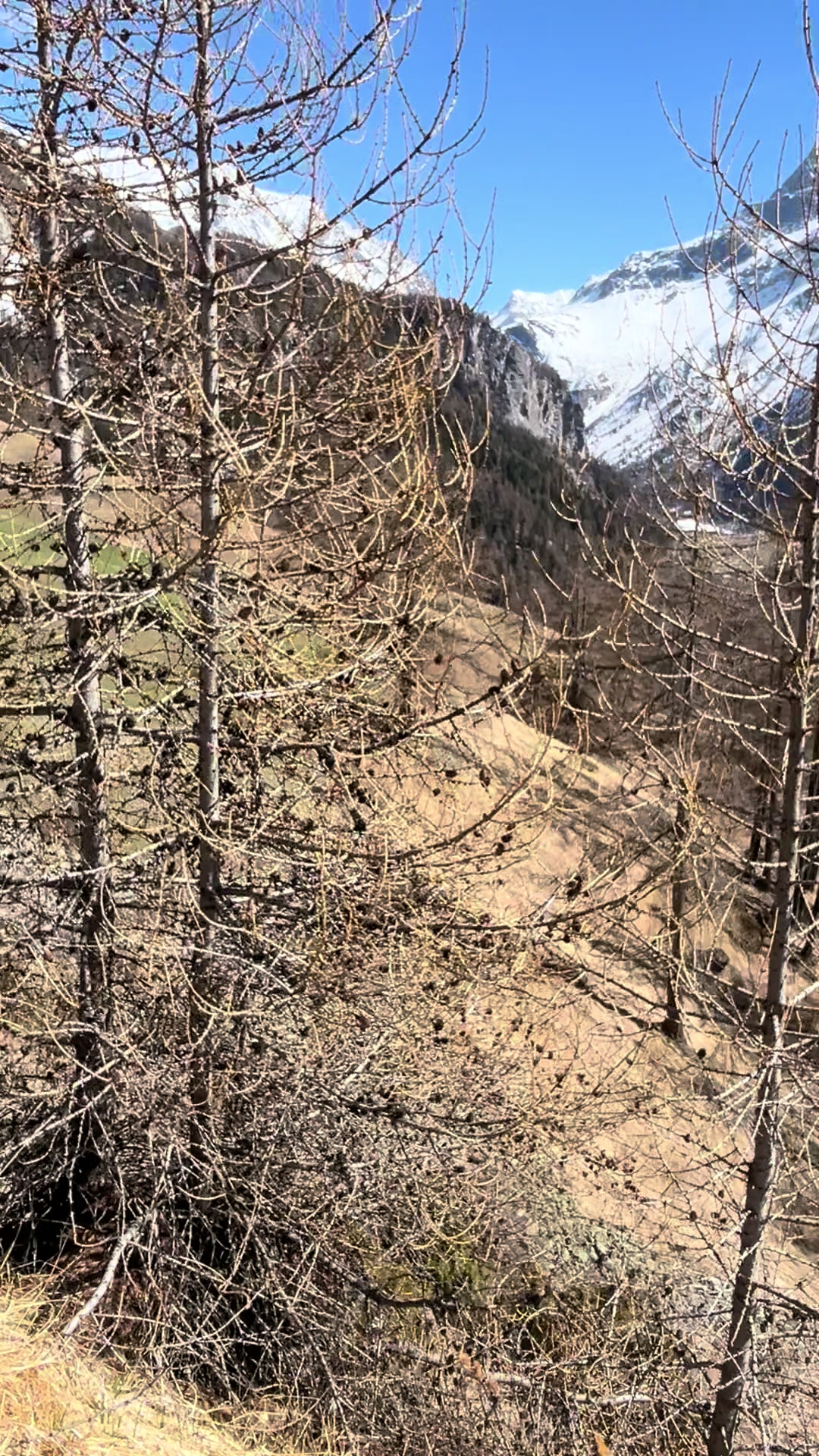 🇪🇺🇫🇷•Simon.maps (@simon.maps) - Urlebird