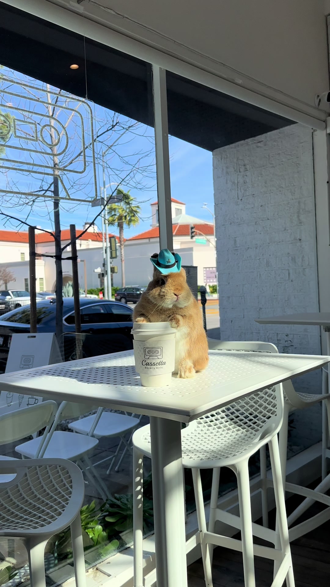 Beautiful day! | Sammy Thighs (@sammythighsx)