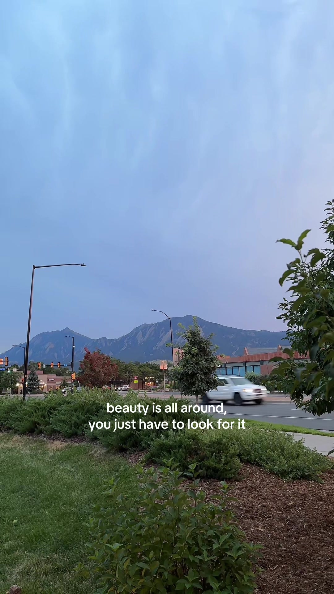 lizzy porter (@thelizzyporter) - Urlebird