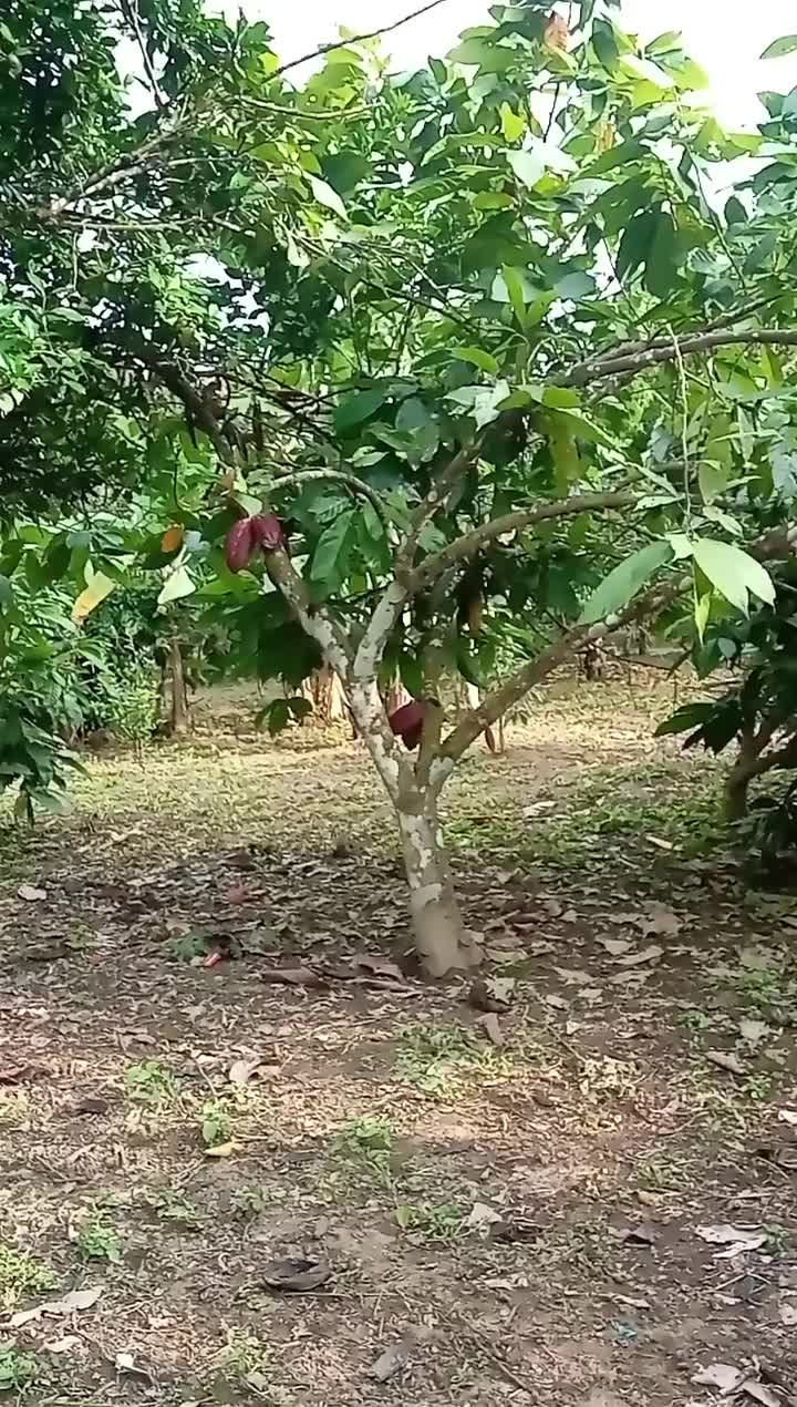 Jennifer Granda (@jennifer_granda) - Urlebird