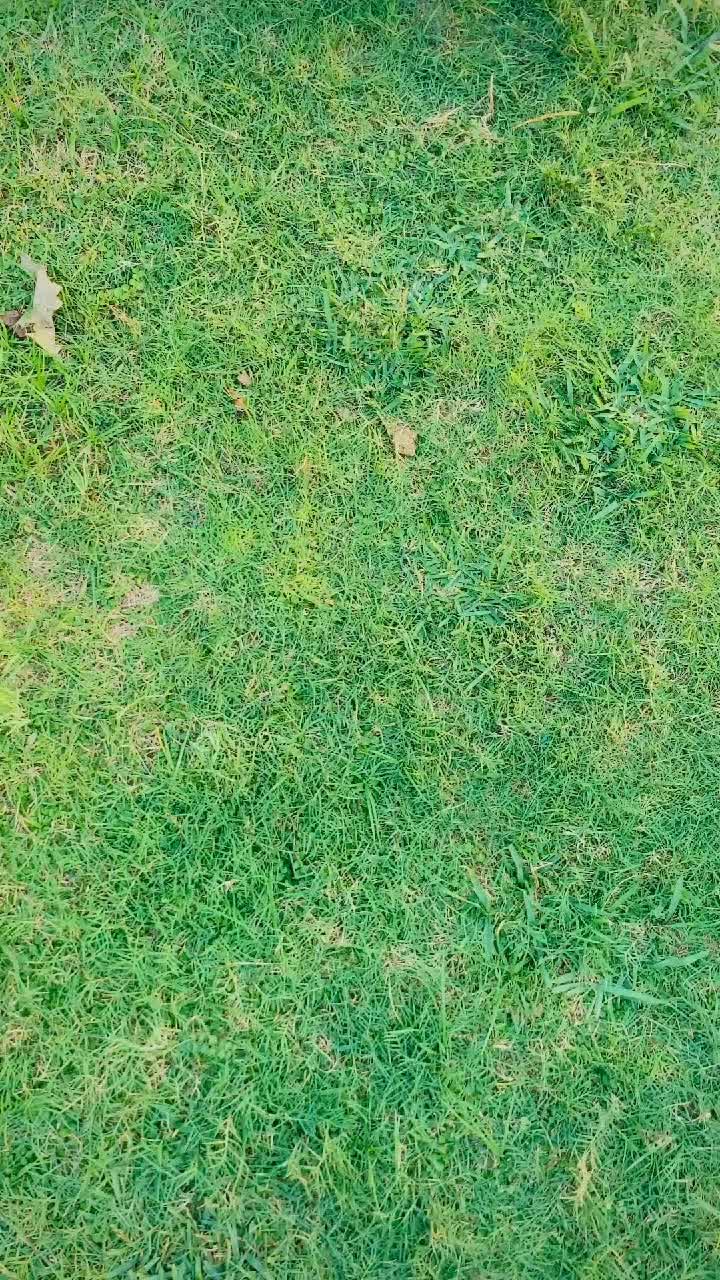 koi mil gaya 🤭💐 @Ne_haa___ 🕊️🥀 ️ @---🌙 | Nakkali nanu (@anupachy64)