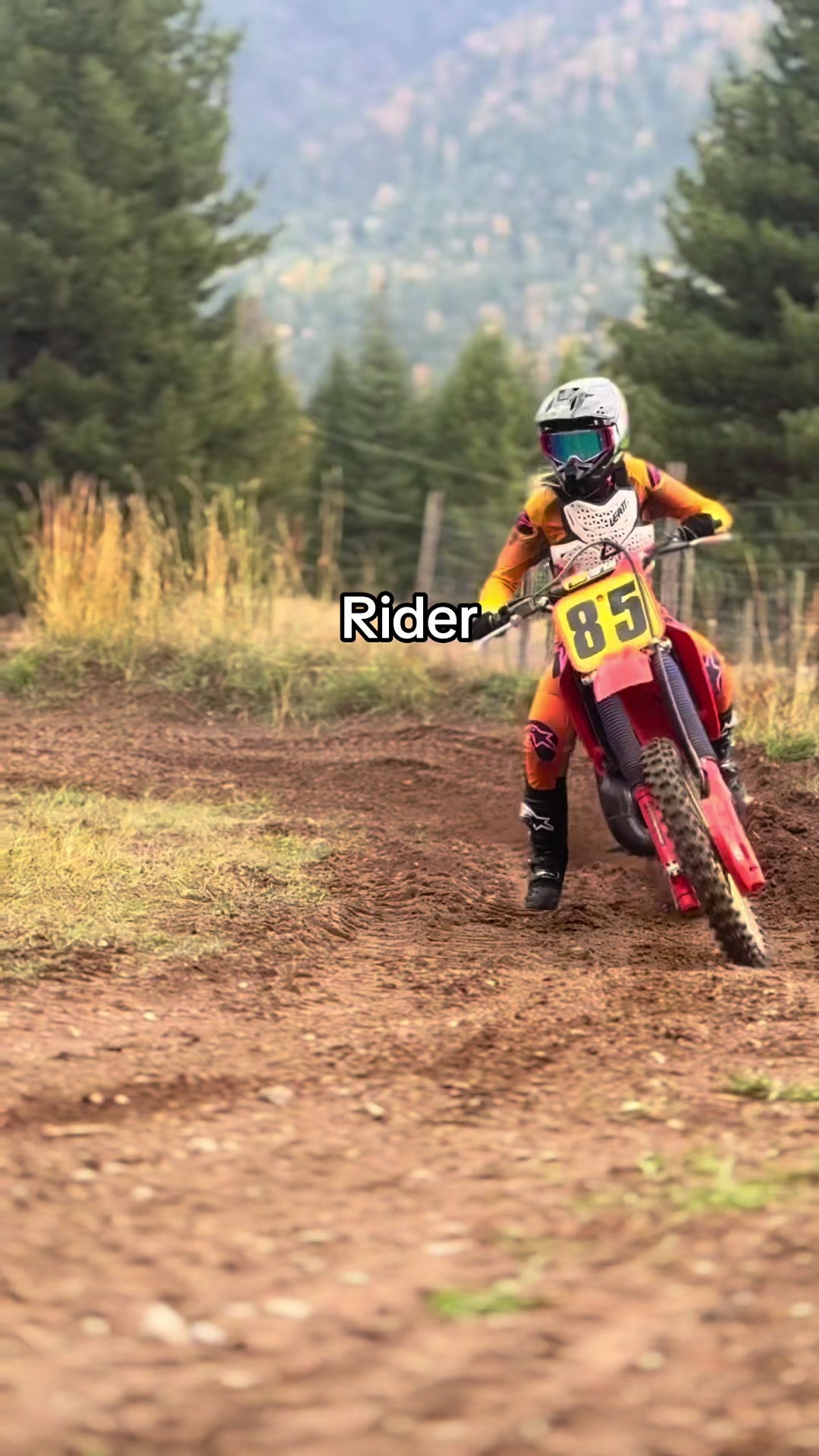 Yana Roney (@powderfluffgurl) - Urlebird